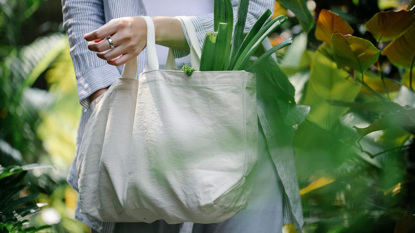 Intermediate Level Lesson Plans | Twee