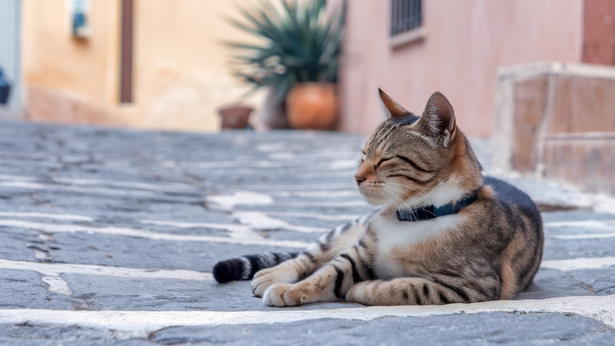 First Impressions: First Lesson Plan for Intermediate Students ESL ...