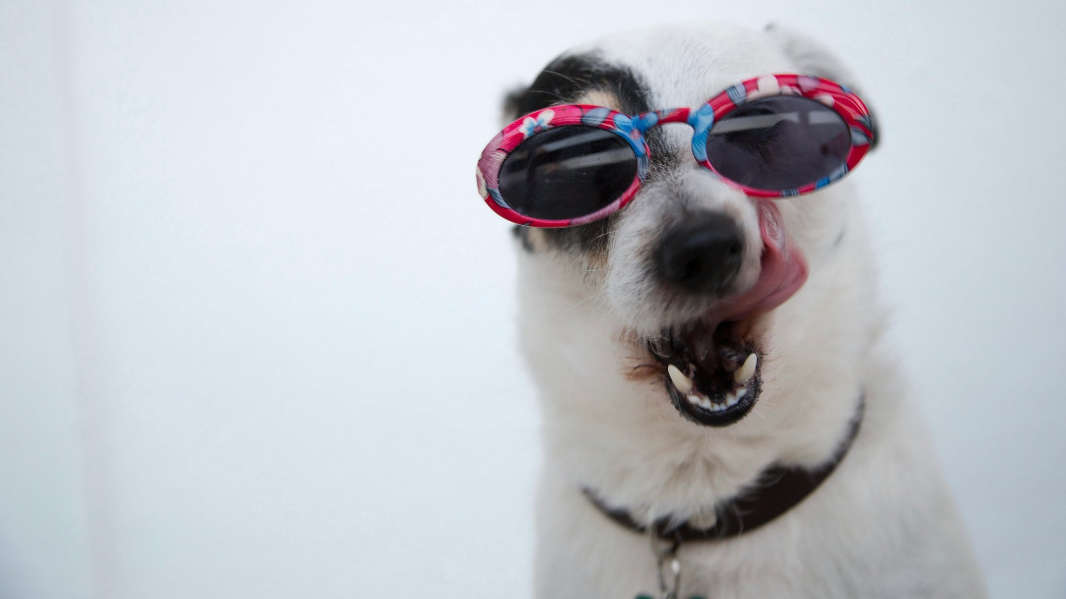 Intermediate Level Lesson Plans | Twee