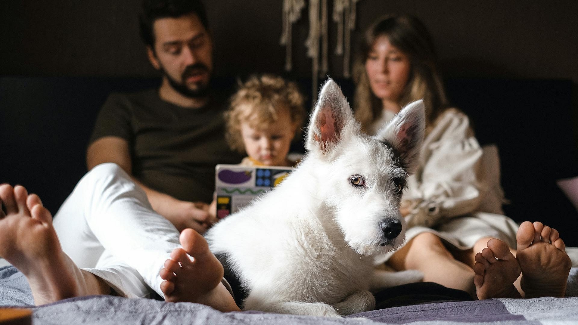 ESL Family lesson Plans | Twee