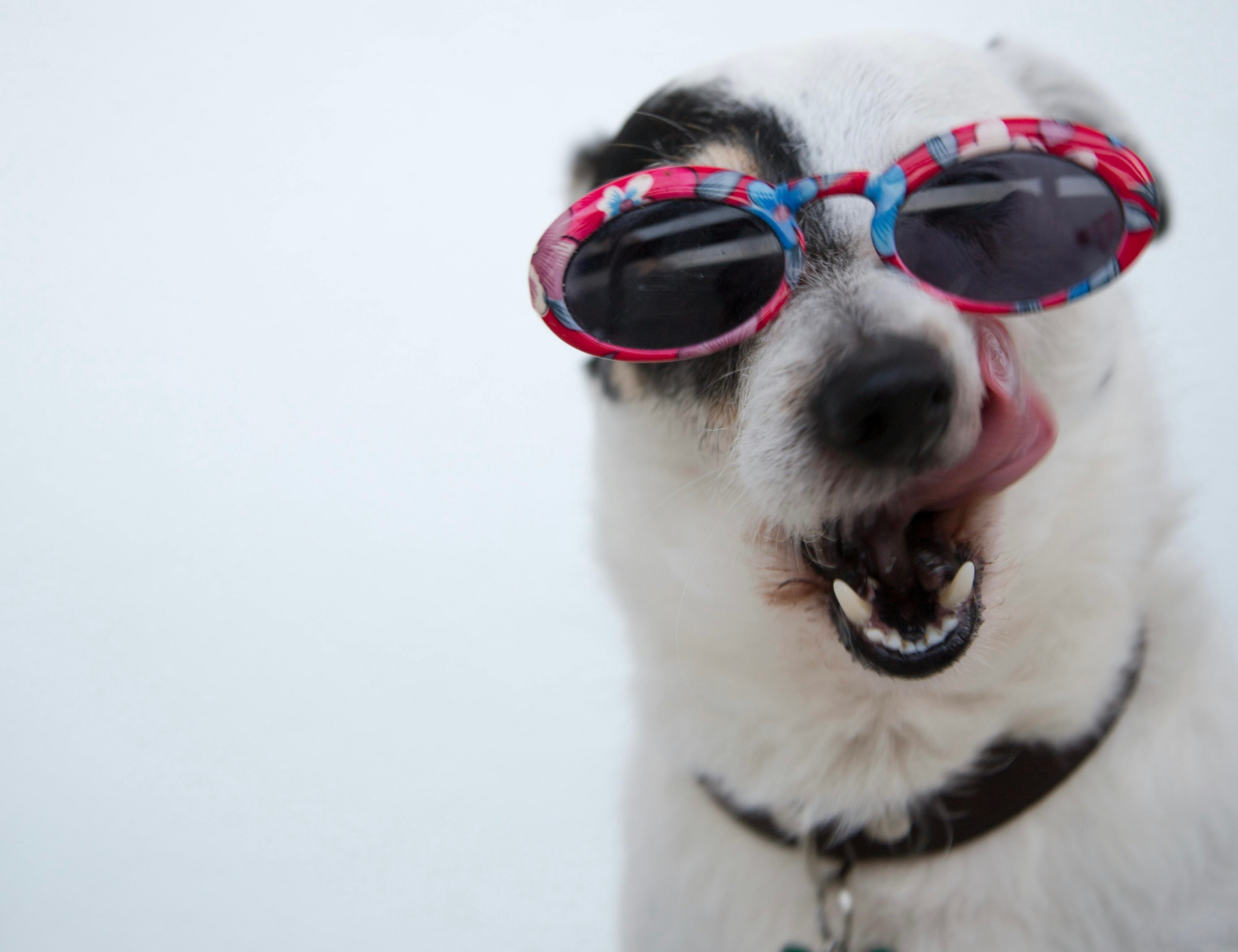 Lesson Plans on English Idioms | Twee