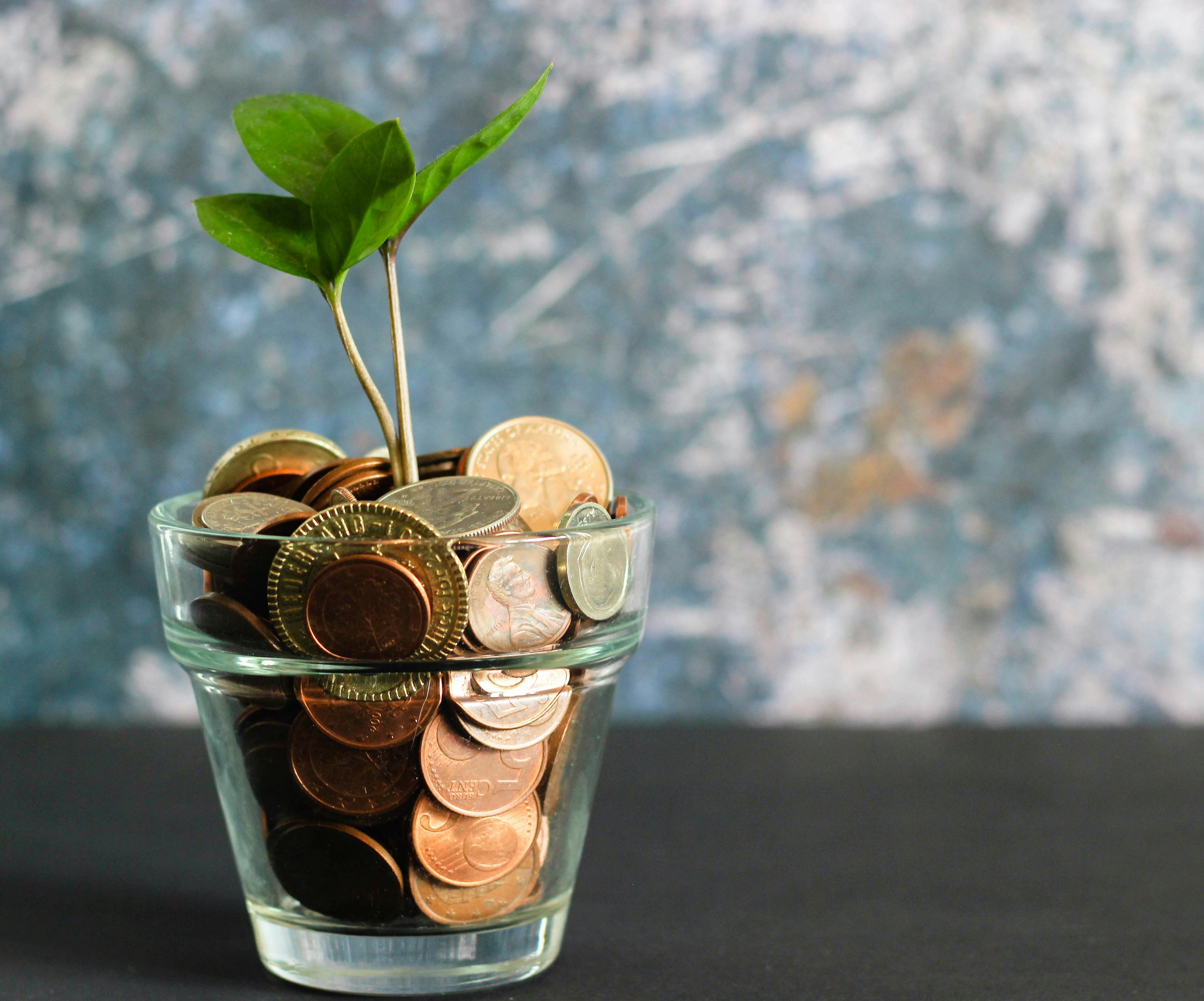 ESL Lesson Plans for English Teachers | Twee