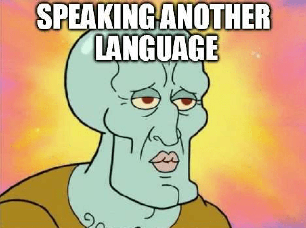 Learning English with Memes ESL Lesson Plan | Twee